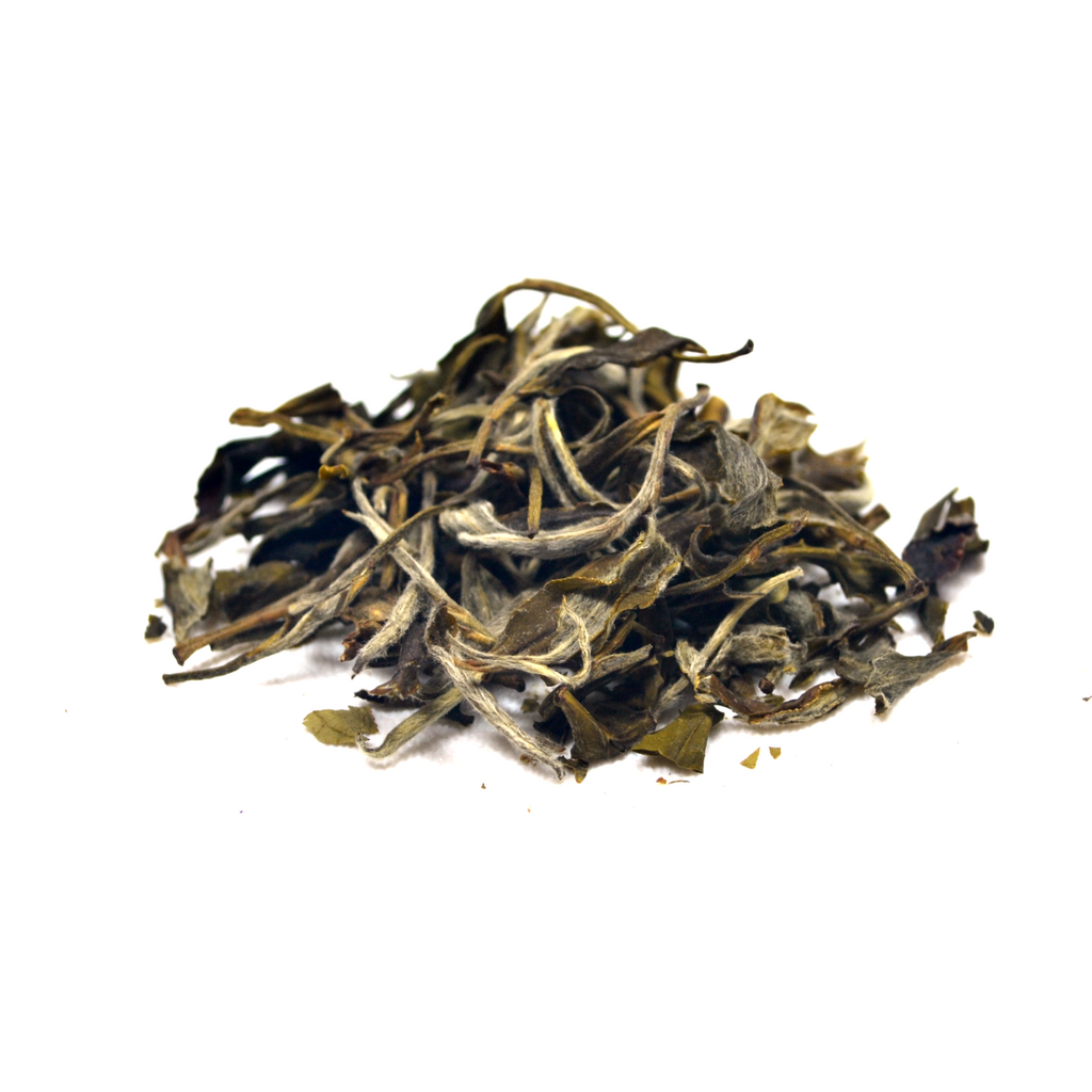 Bai Mudan (Pai Mu-Tan) – Shineworthy Tea